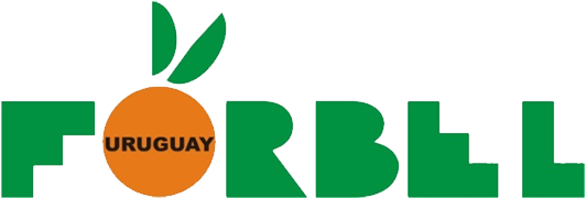 IPLA | Soluciones automatizadas para el sector industrial